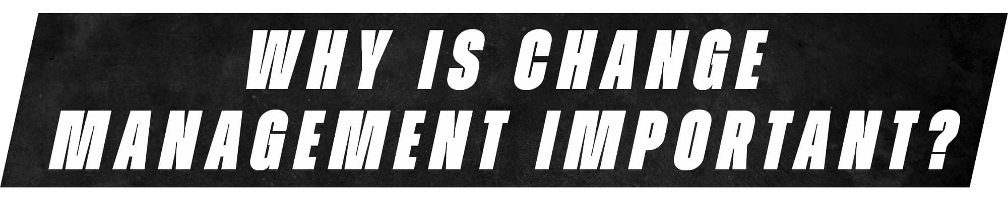 Why Is Change Management Important? (Article) - Extreme Ownership Academy